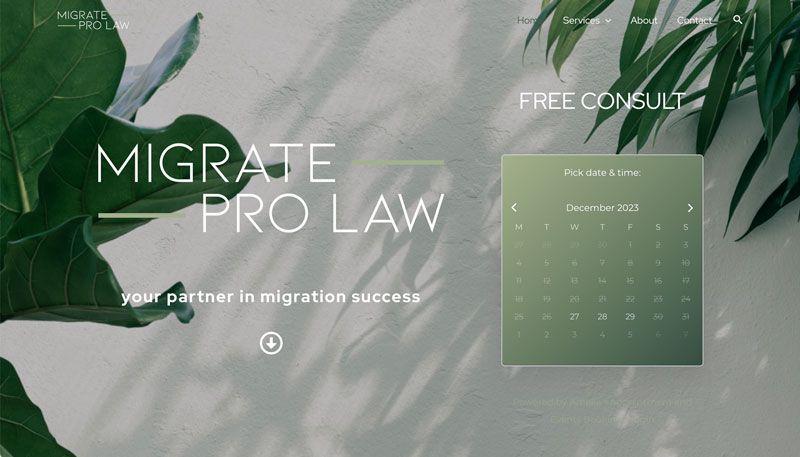Services - Migrate Pro Law